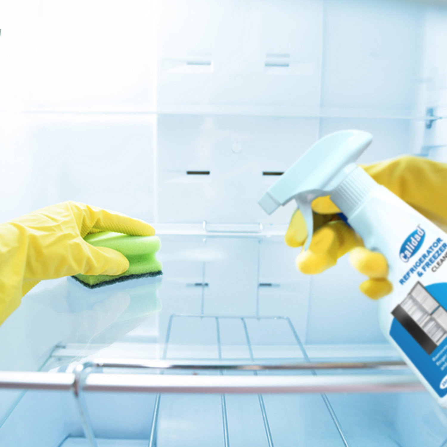 Refrigerator & Freezer Cleaner - 250 Ml - Pardzworld