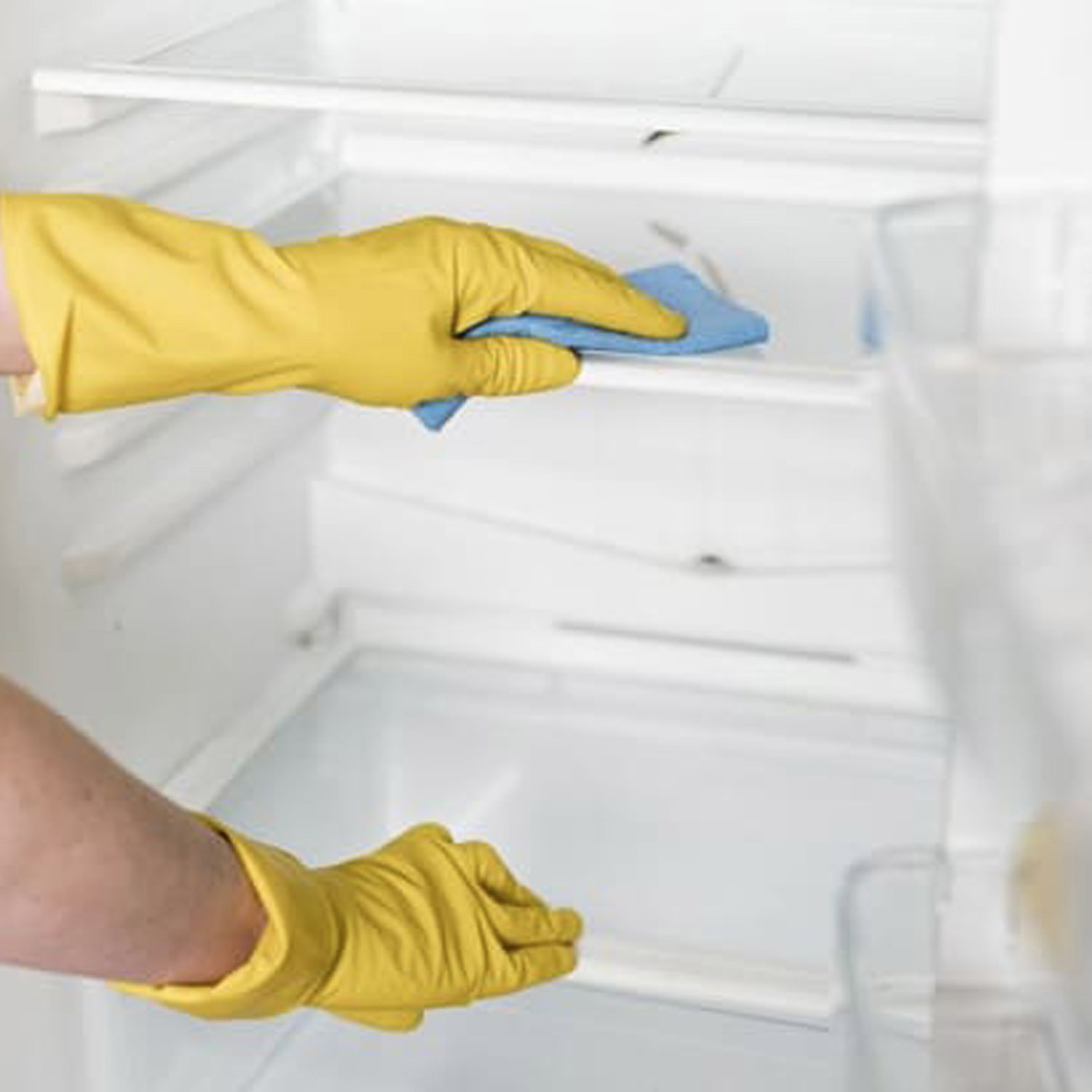 Refrigerator & Freezer Cleaner - 250 Ml - Pardzworld